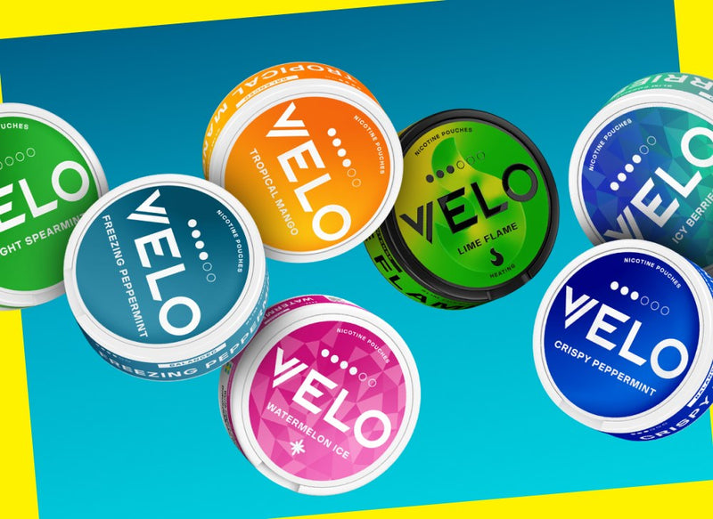 Snustree - Online-Shop für Premium Snus in der Schweiz | Schnell & Gün